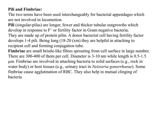 Bacteria Structure Pptx Biological Sciences Science