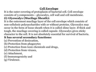 Bacteria Structure.pptx