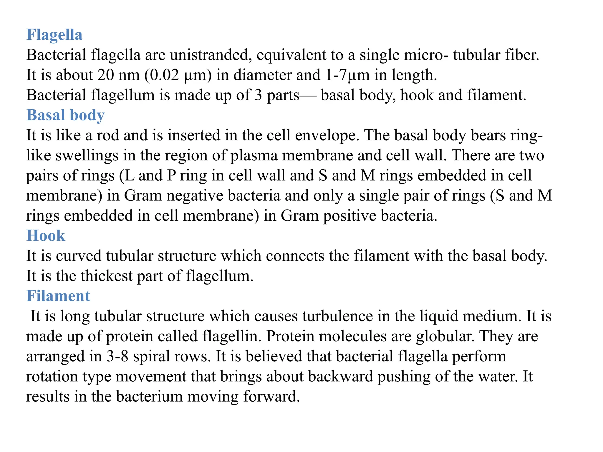 Bacteria Structure.pptx eubacteria from microbiology | PPTX