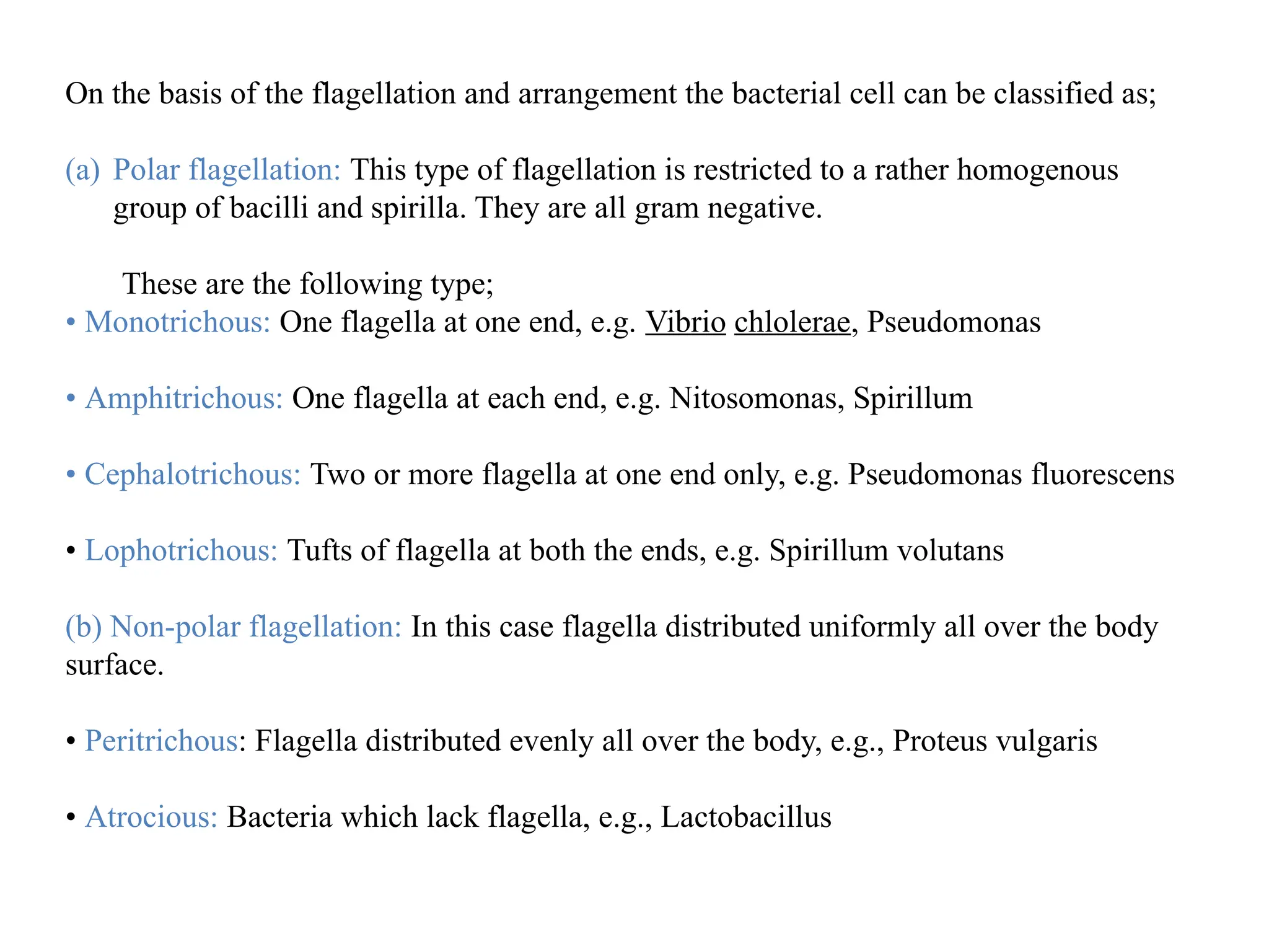 Bacteria Structure.pptx eubacteria from microbiology | PPTX