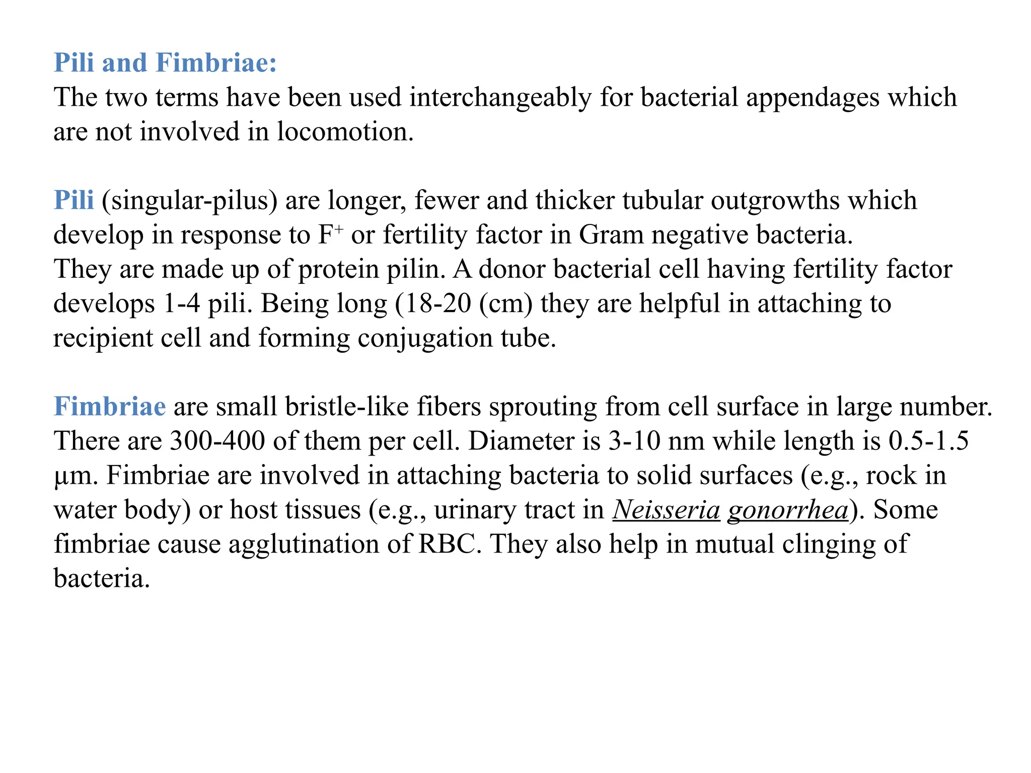 Bacteria Structure.pptx eubacteria from microbiology | PPTX