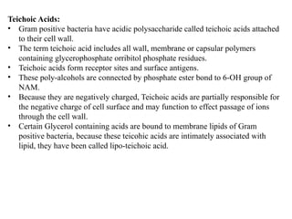Bacteria Structure.pptx eubacteria from microbiology | PPTX