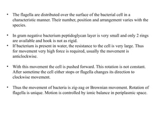 Bacteria Structure.pptx eubacteria from microbiology | PPTX