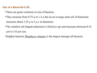 Bacteria Structure.pptx eubacteria from microbiology | PPT