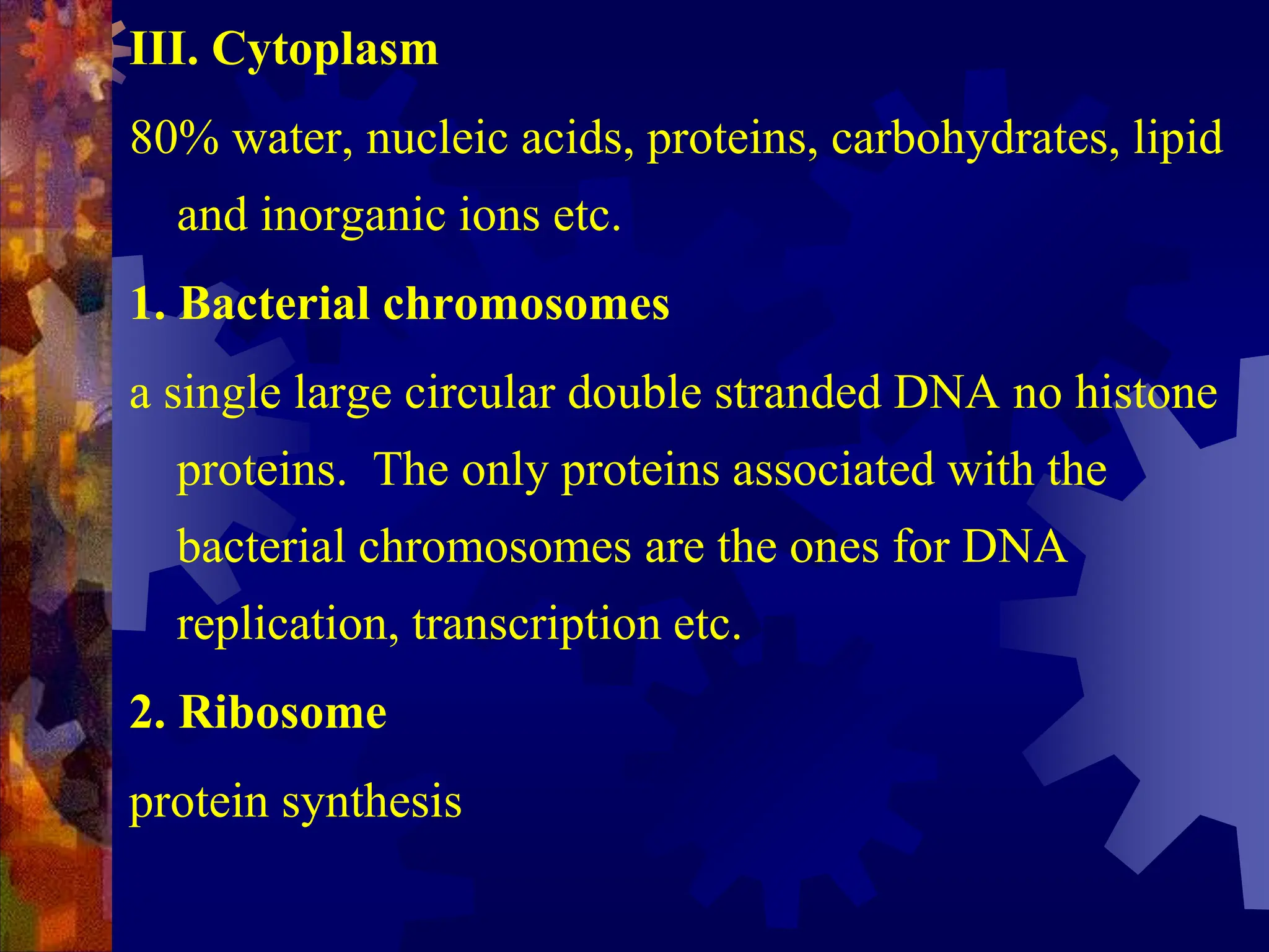 Bacteria Structure, Cell wall, Cell Membrane, Cytoplasm, Ribosomes.pptx