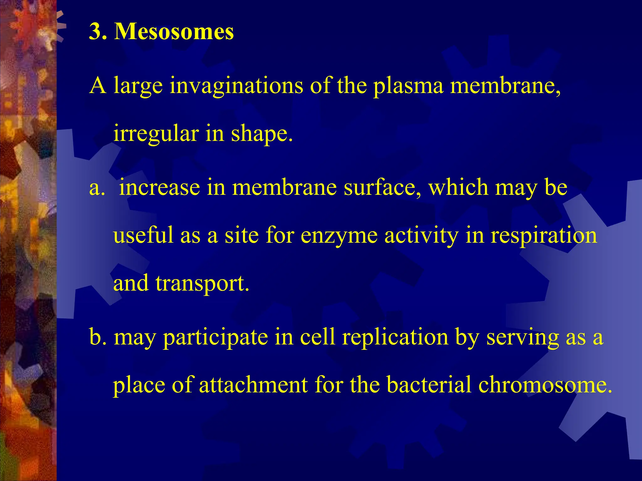 Bacteria Structure, Cell wall, Cell Membrane, Cytoplasm, Ribosomes.pptx