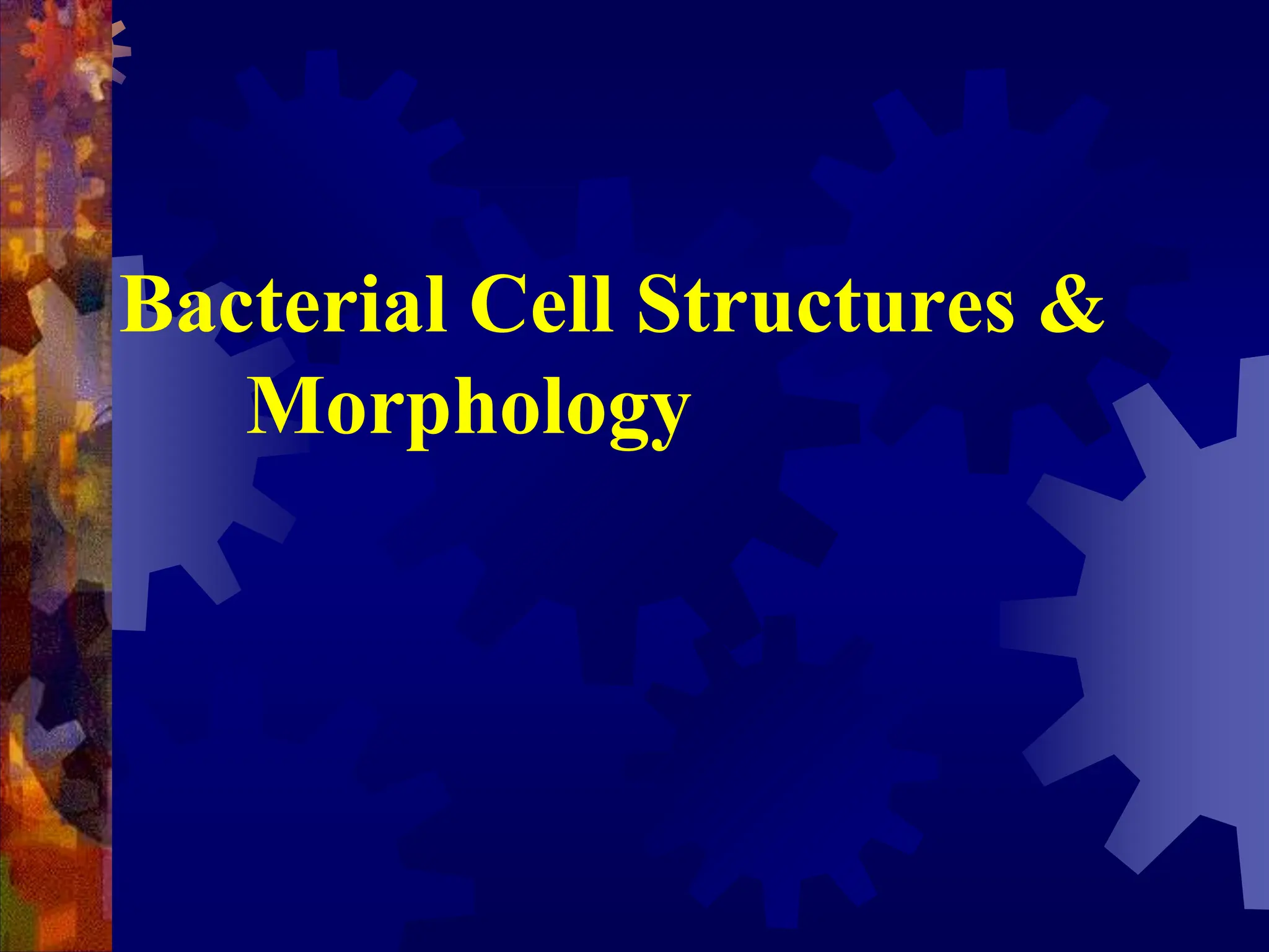 Bacteria Structure, Cell wall, Cell Membrane, Cytoplasm, Ribosomes.pptx