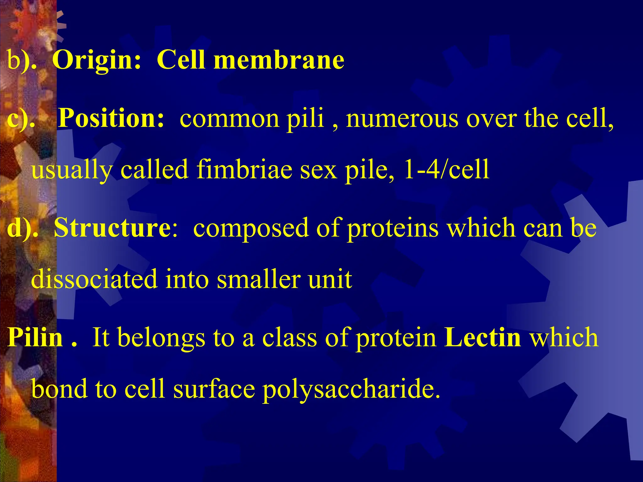 Bacteria Structure, Cell wall, Cell Membrane, Cytoplasm, Ribosomes.pptx