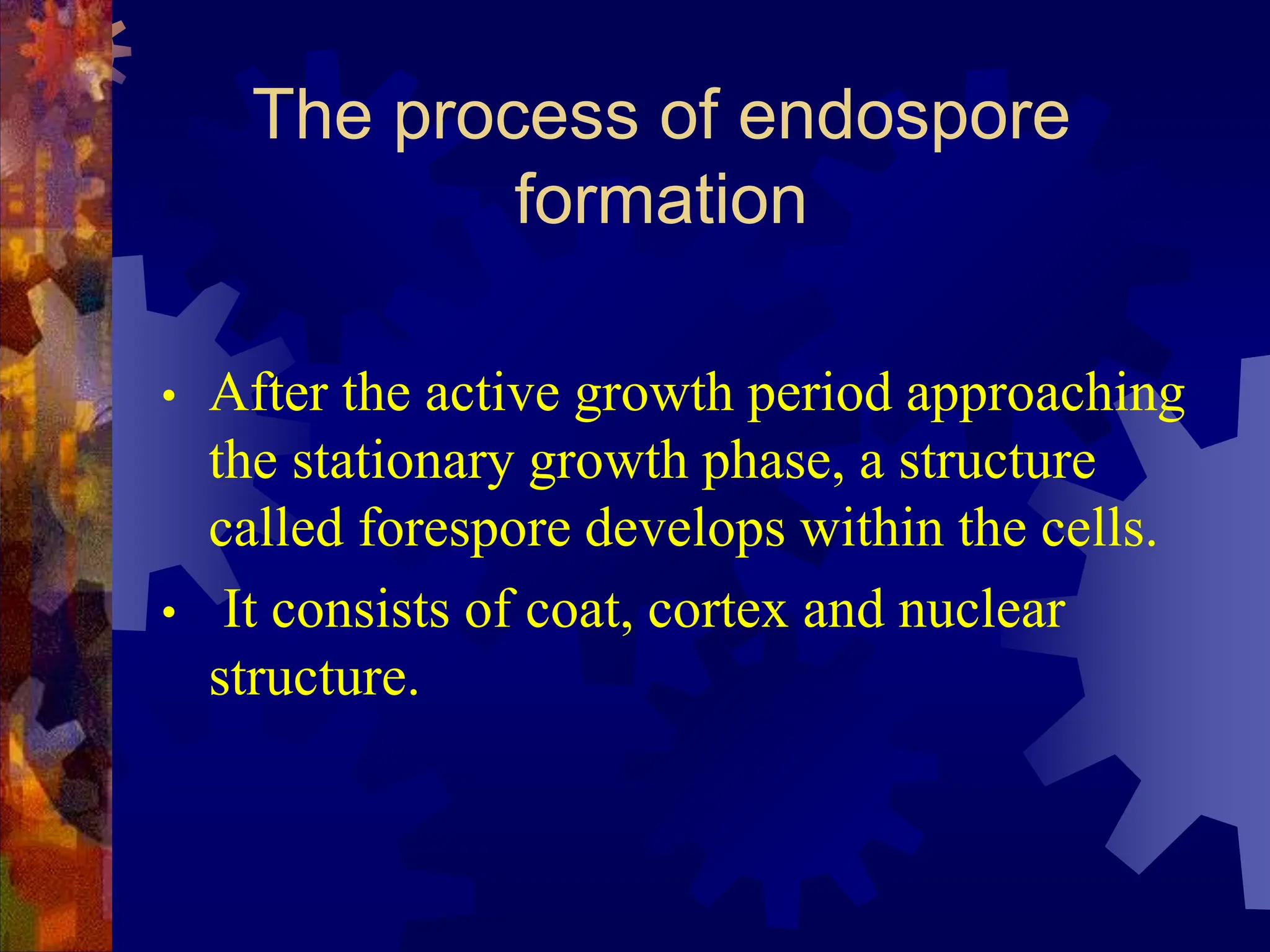Bacteria Structure, Cell wall, Cell Membrane, Cytoplasm, Ribosomes.pptx