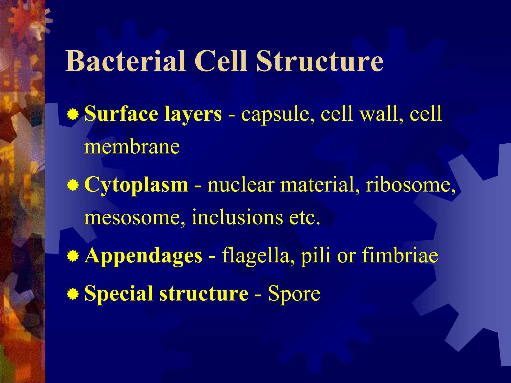 Bacteria Structure, Cell wall, Cell Membrane, Cytoplasm, Ribosomes.pptx