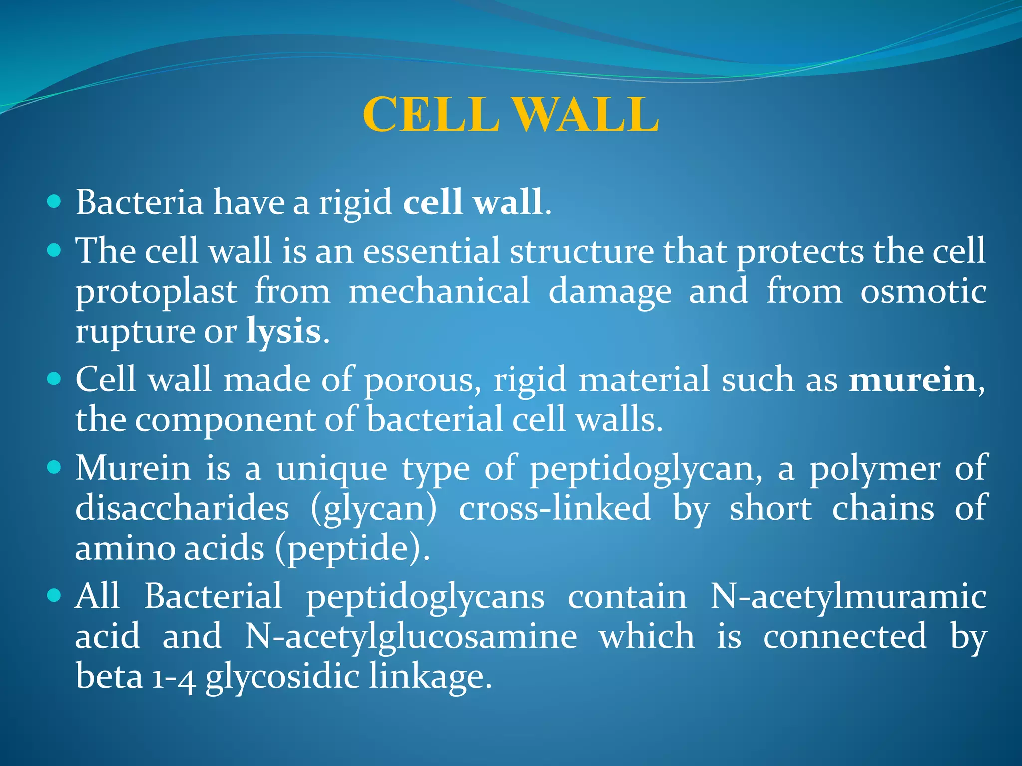Bacteria structure and function | PPTX