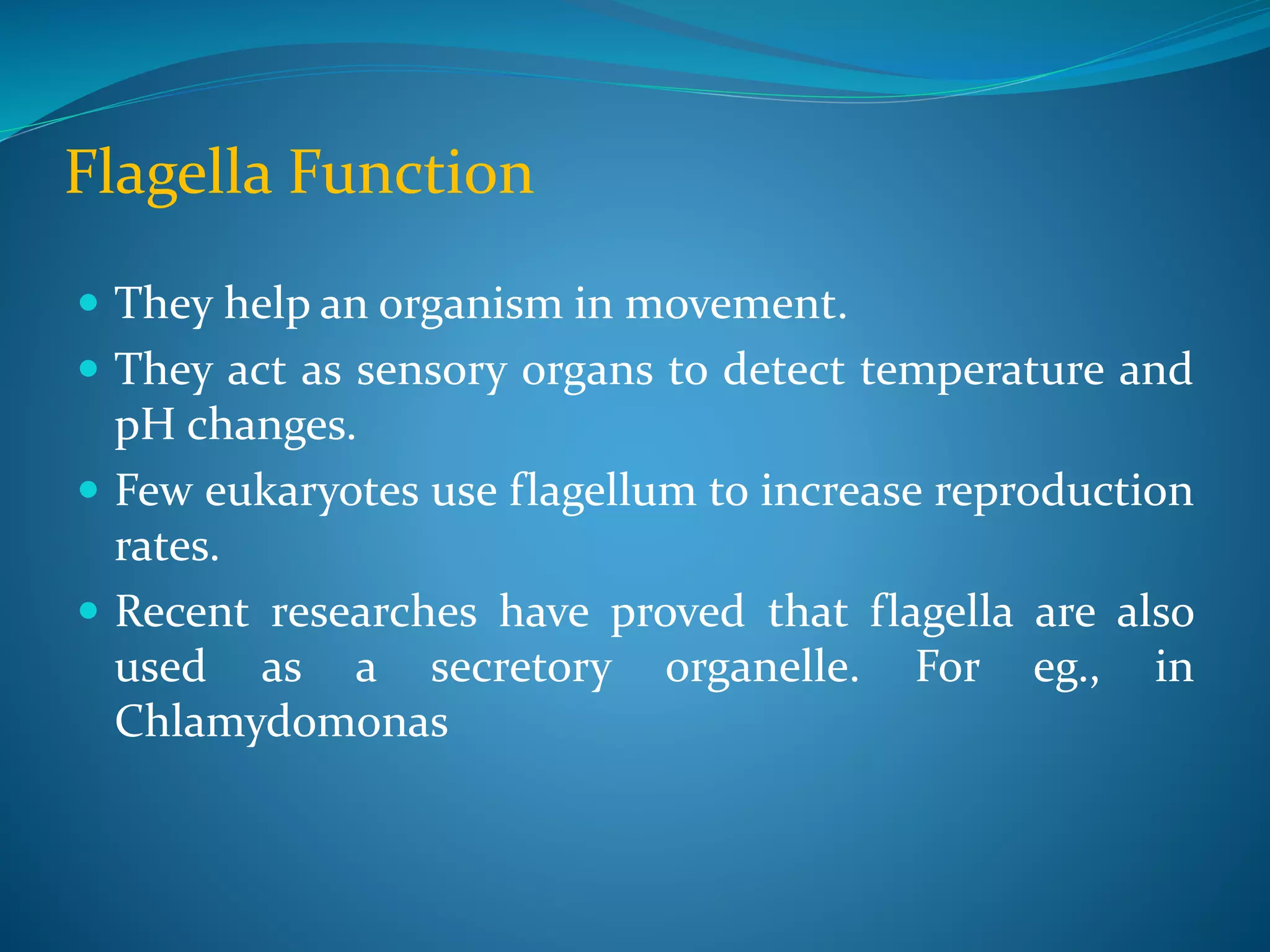 Bacteria structure and function | PPTX
