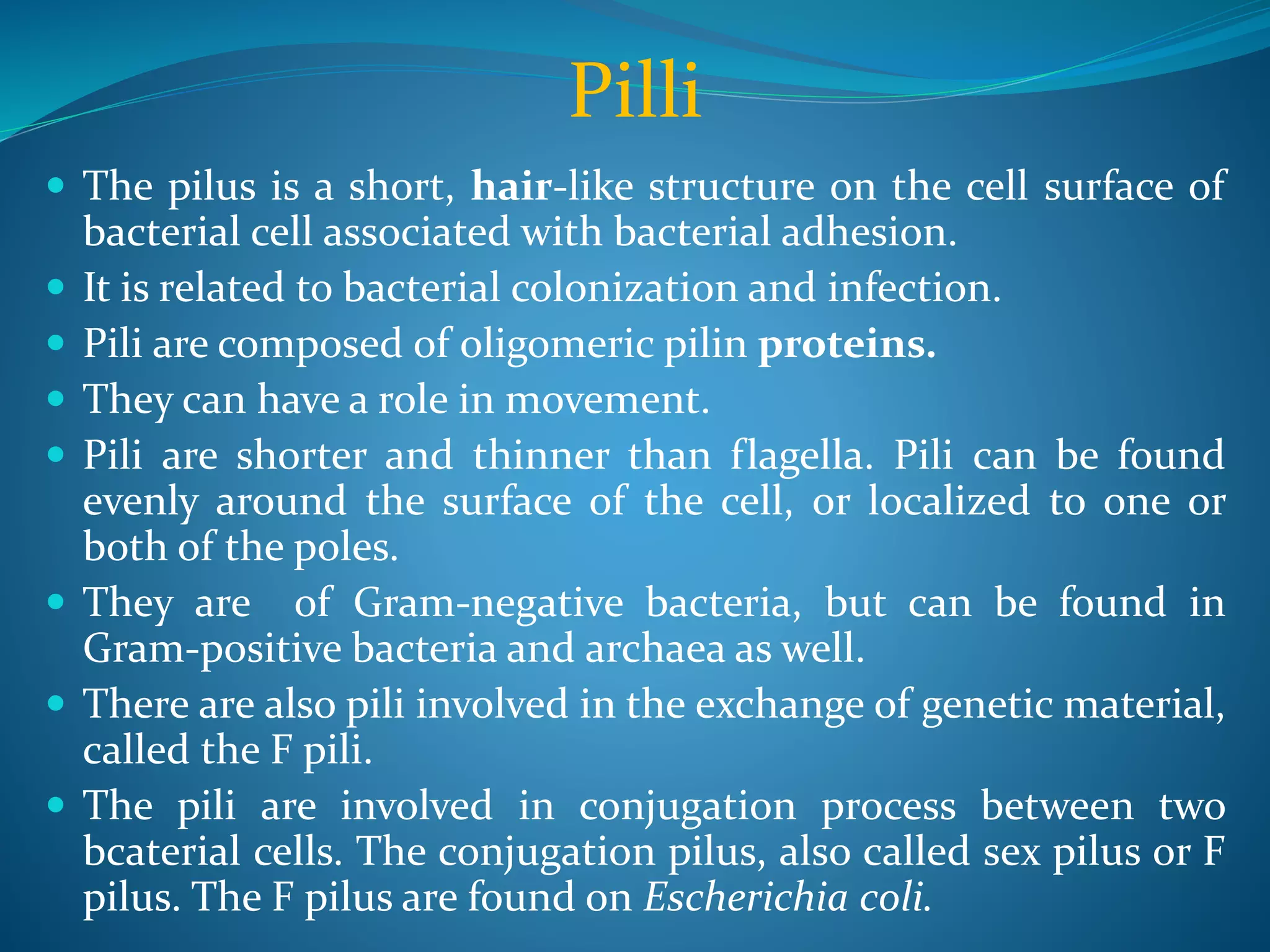 Bacteria structure and function | PPTX