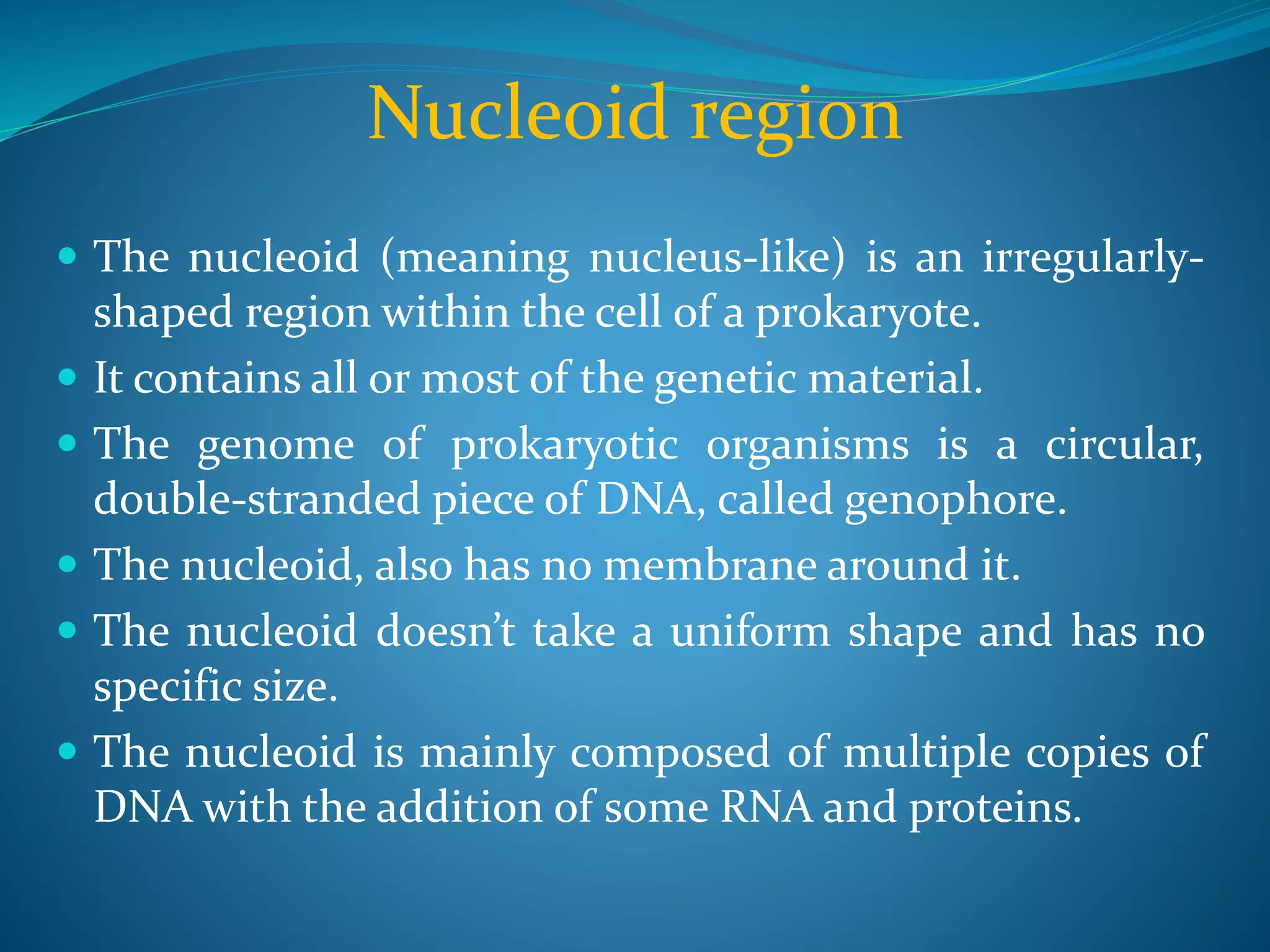 Bacteria structure and function | PPTX