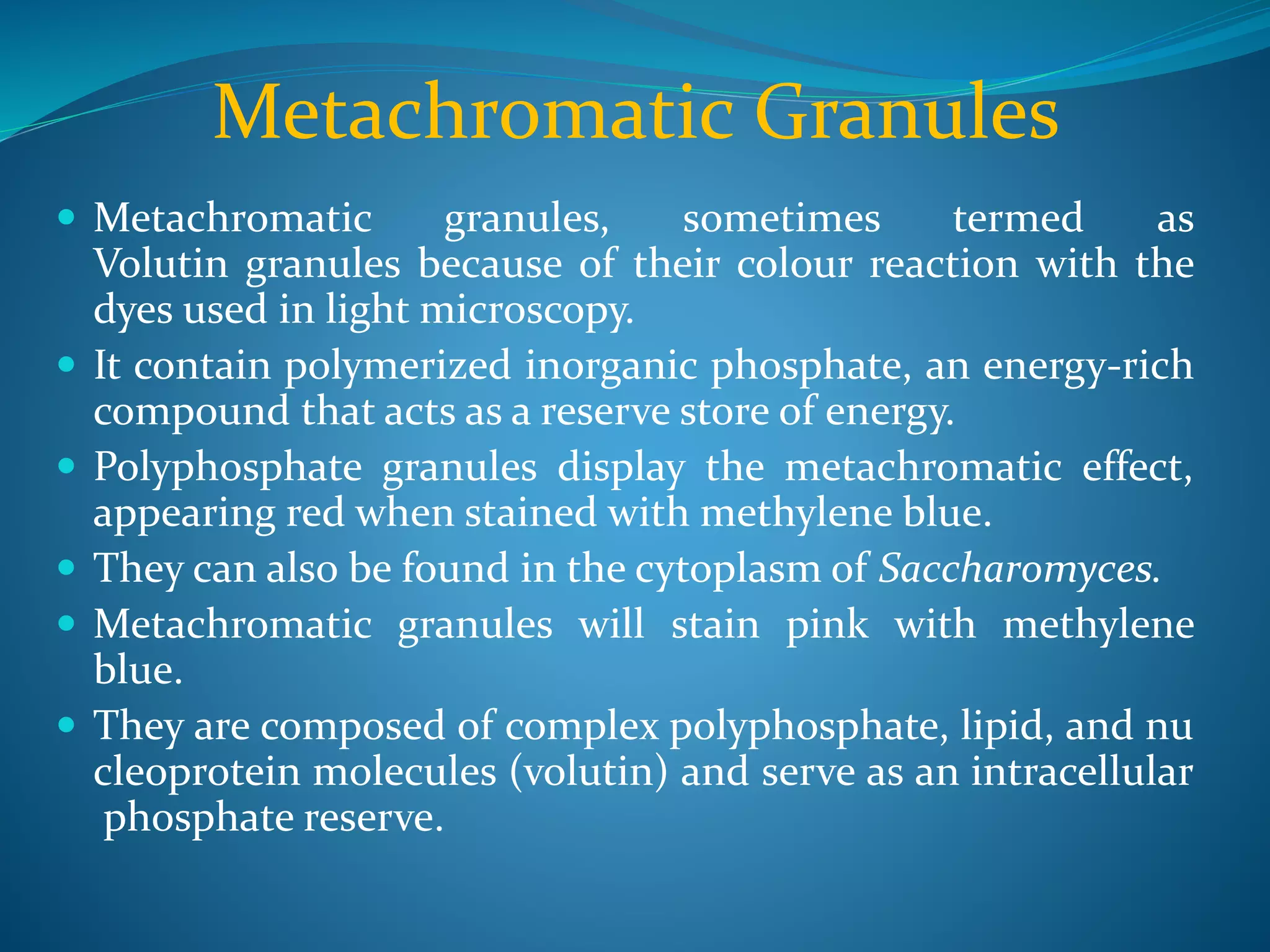 Bacteria structure and function | PPTX