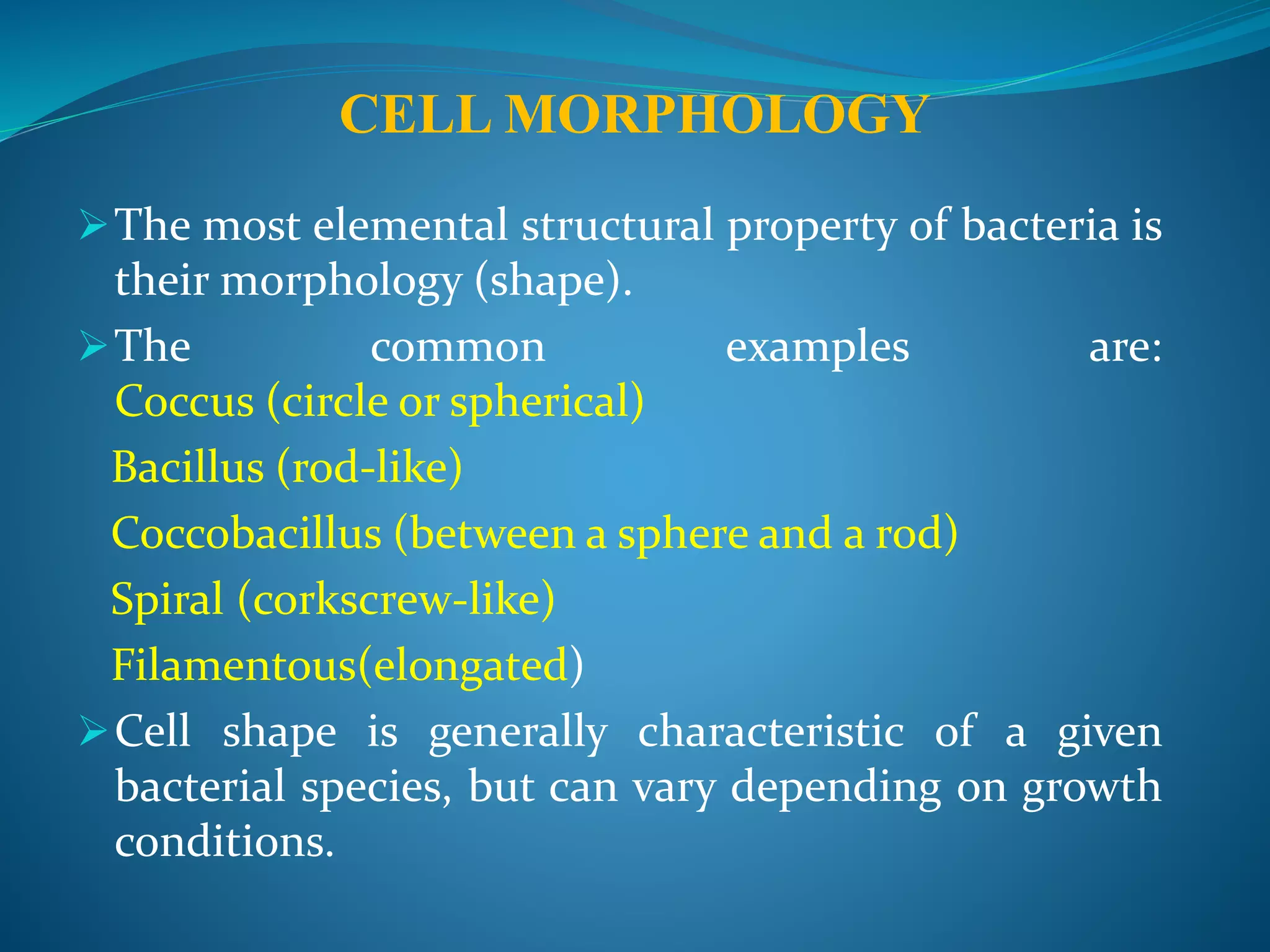 Bacteria structure and function | PPTX