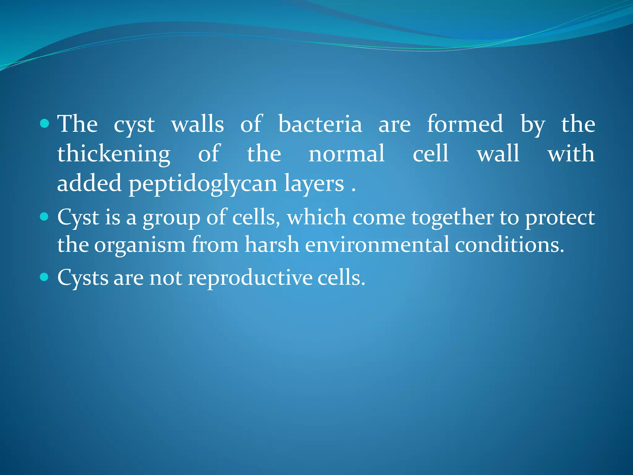 Bacteria structure and function | PPTX