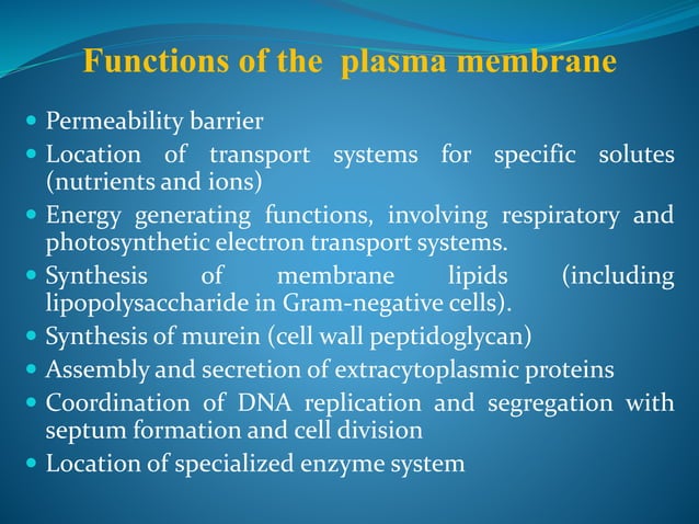 Bacteria structure and function | PPTX | Biological Sciences | Science