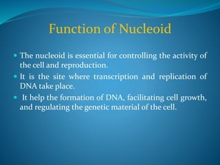 Bacteria structure and function | PPTX