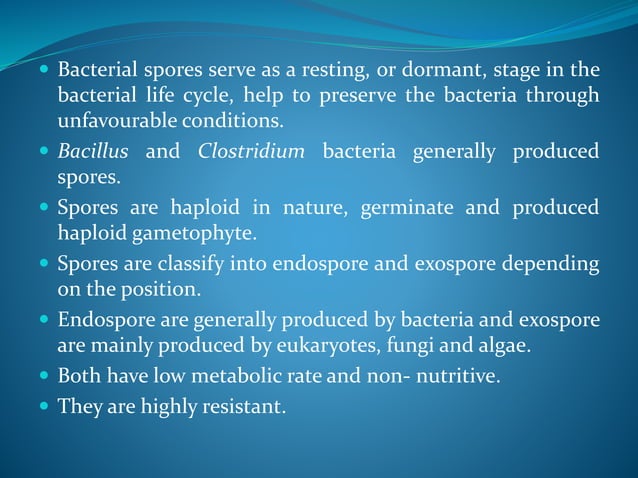 Bacteria structure and function | PPTX | Biological Sciences | Science