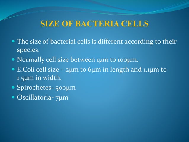 Bacteria structure and function | PPTX | Biological Sciences | Science