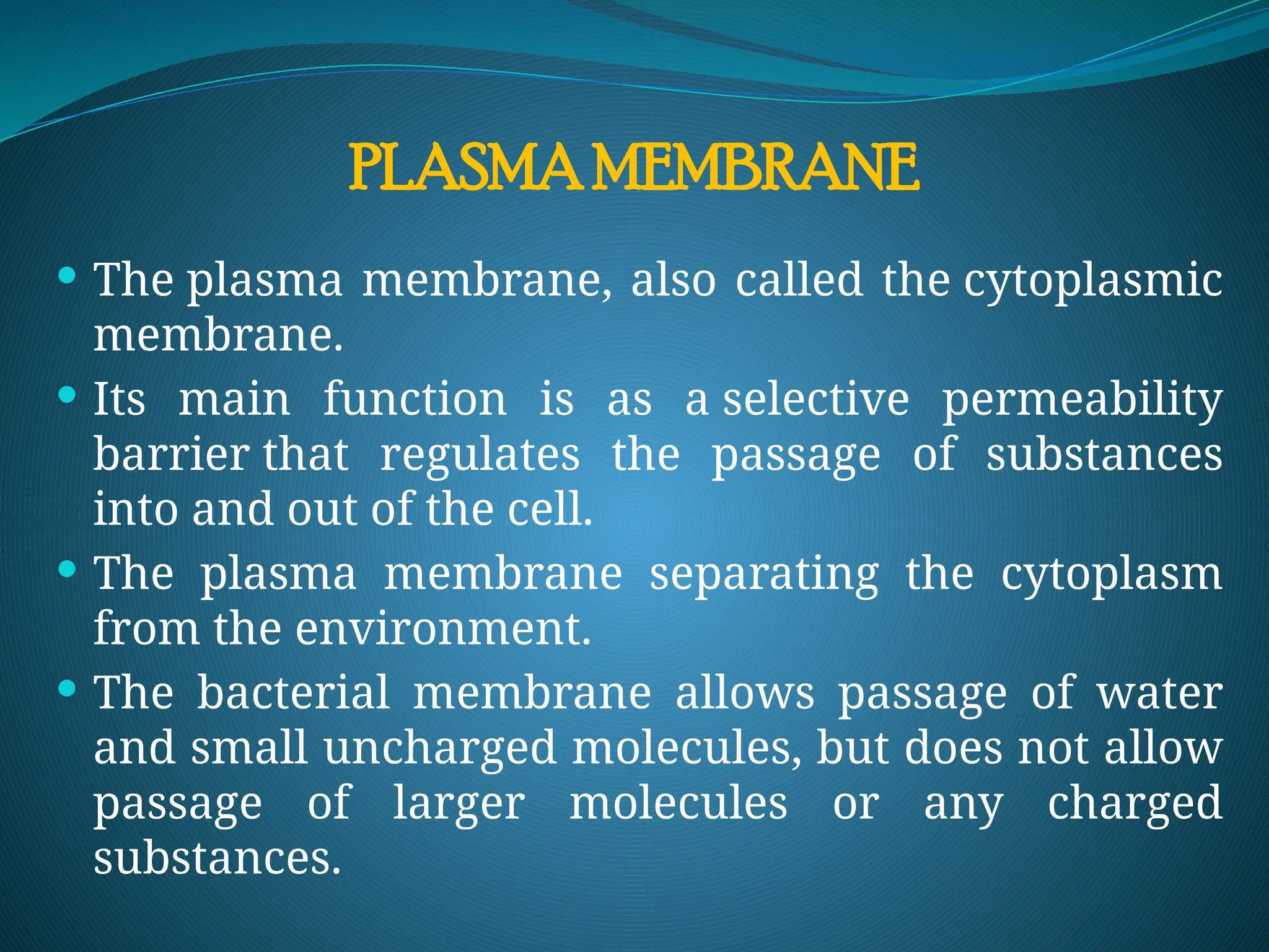 Bacterial structures and functions .pptx