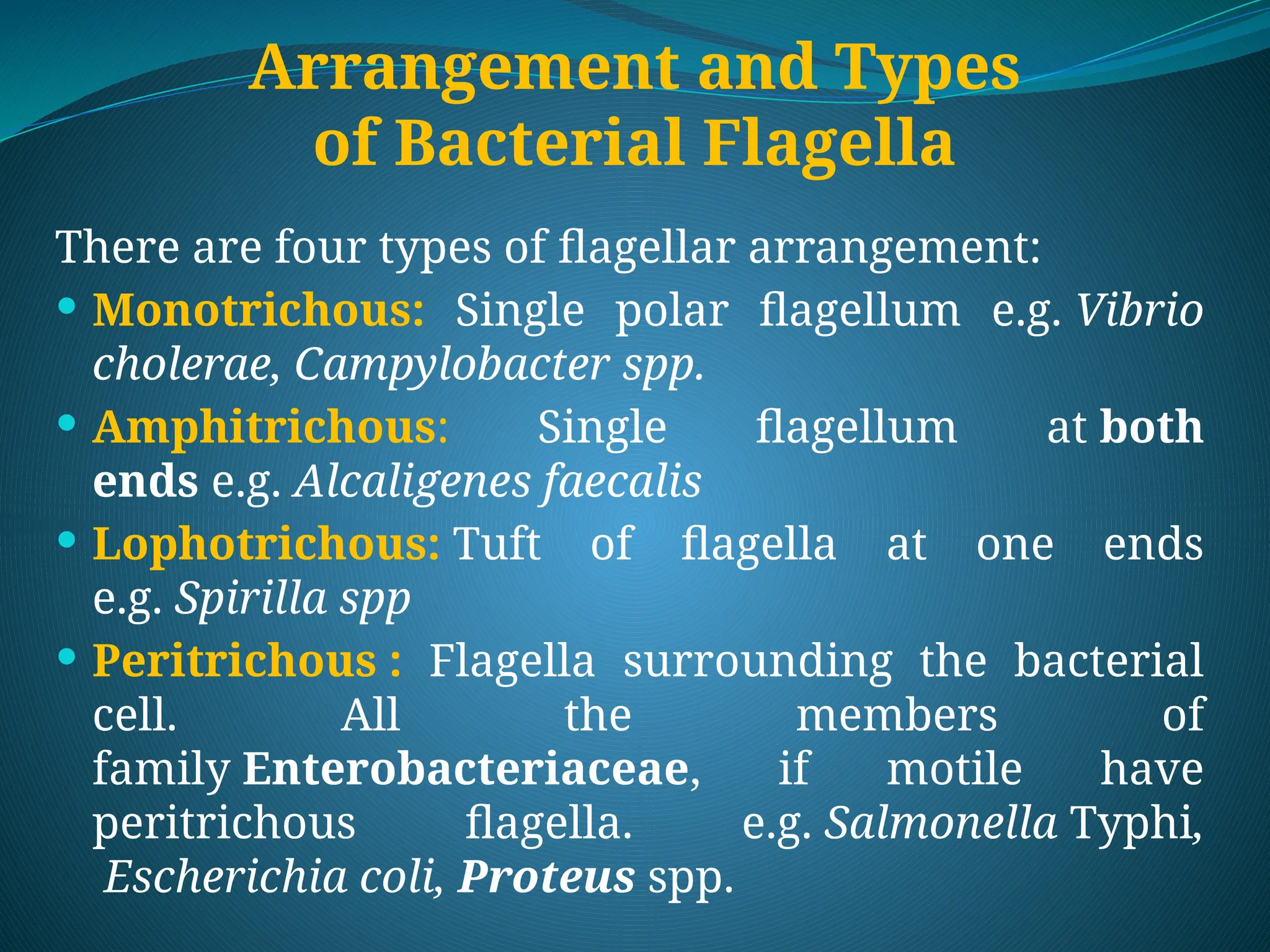 Bacterial structures and functions .pptx