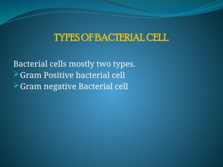 Bacterial structures and functions .pptx