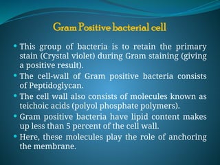 Bacterial structures and functions .pptx