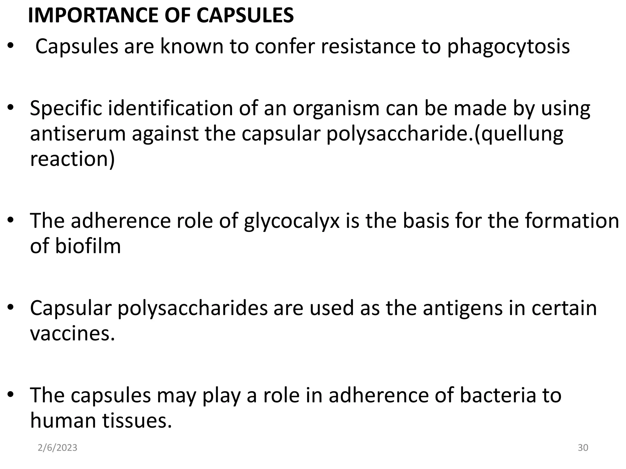 BACTERIA STRUCTURE AND FUNCTION [Autosaved].pptx