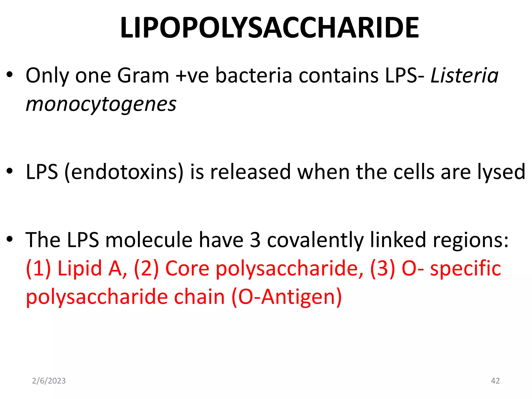 BACTERIA STRUCTURE AND FUNCTION [Autosaved].pptx