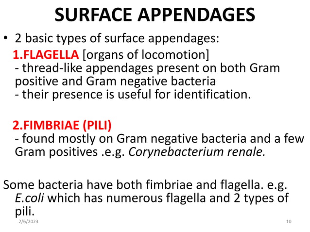 BACTERIA STRUCTURE AND FUNCTION [Autosaved].pptx