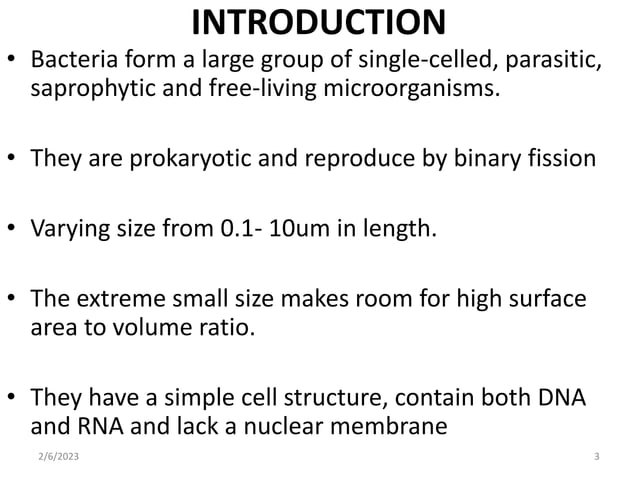 BACTERIA STRUCTURE AND FUNCTION [Autosaved].pptx