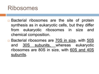 Bacteria; structure, functions.pptx
