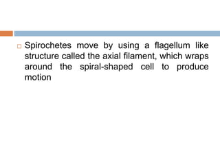 Bacteria; structure, functions.pptx