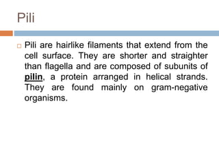 Bacteria; structure, functions.pptx