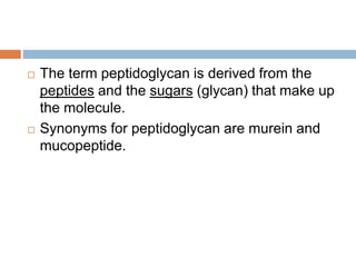 Bacteria; structure, functions.pptx