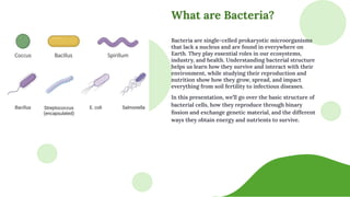 Bacteria Structure, Reproduction, and Nutrition .pdf