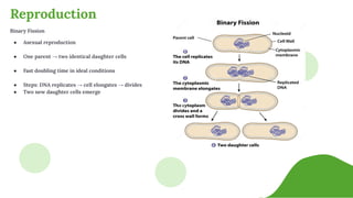 Bacteria Structure, Reproduction, and Nutrition .pdf