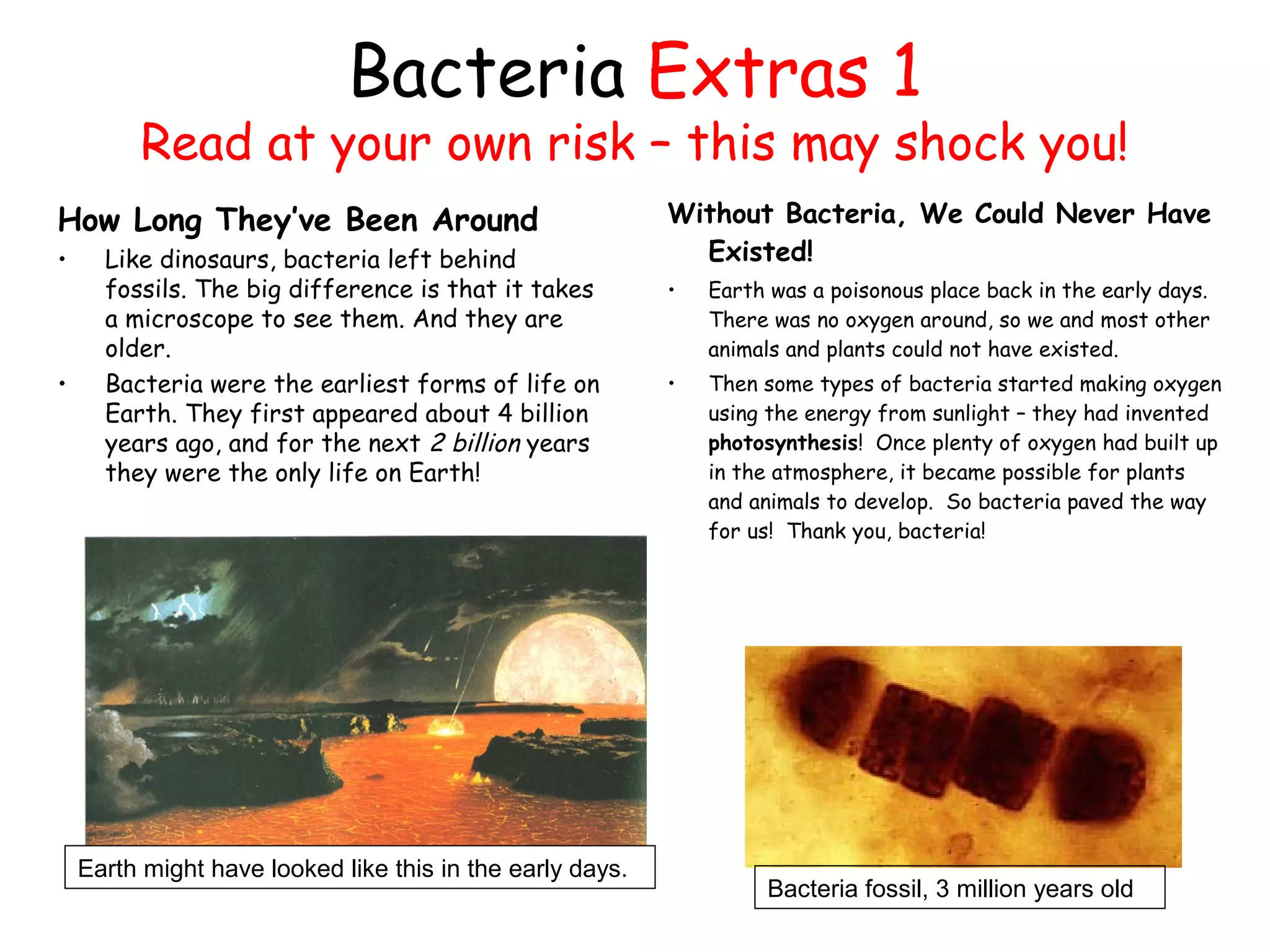 Bacteria summary | PPT