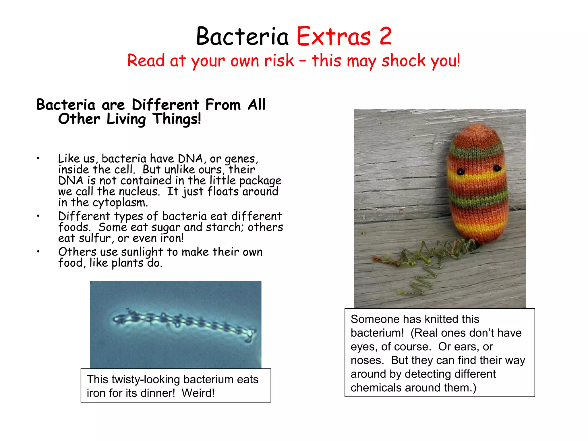 Bacteria summary | PPT