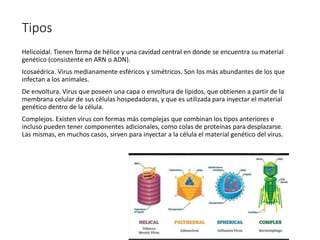 Bacterias virus, hongos, parásitos para estudiantes | PPTX
