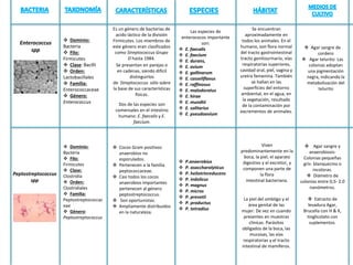 BACTERIAS Y HONGOS microbiologia clinicapptx | PPTX