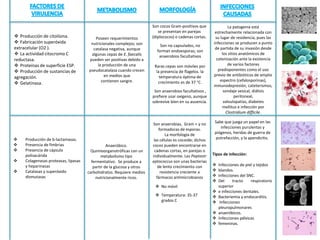 BACTERIAS Y HONGOS microbiologia clinicapptx | PPTX