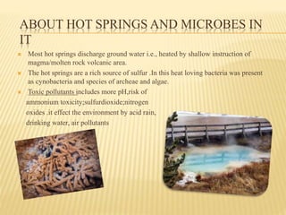 Bacteria that converts toxic pollutants to electricity | PPTX