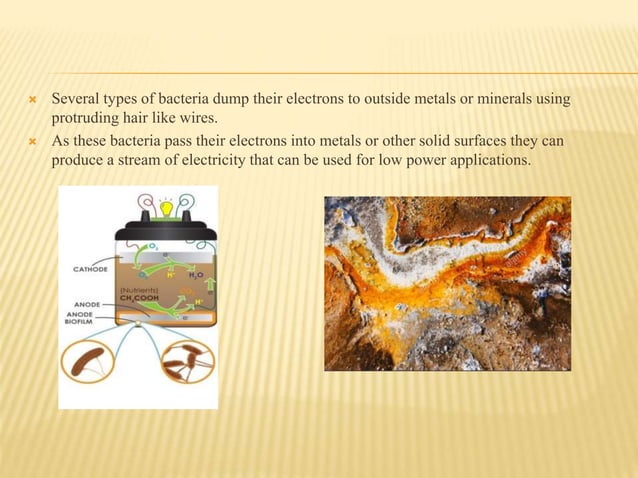 Bacteria that converts toxic pollutants to electricity | PPTX ...
