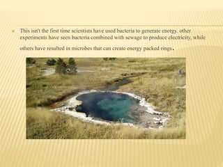 Bacteria that converts toxic pollutants to electricity | PPTX