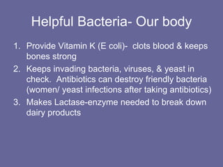Bacteria three | PPT