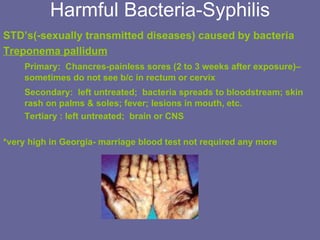 Bacteria three | PPT