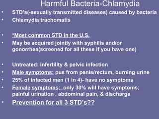 Bacteria three | PPT
